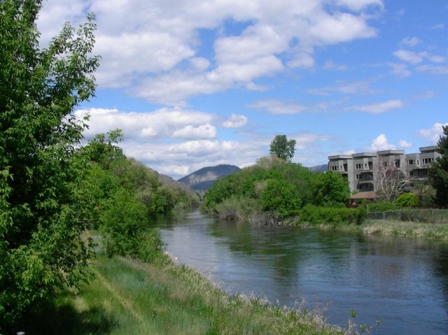 The River | Green Comet