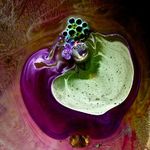 Pery Burge | Green Comet